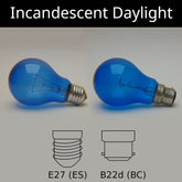 Incandescent Bulbs – The Lightbulb Man