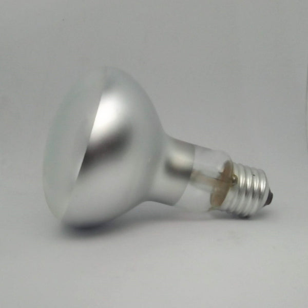R80 Led Light Bulbs Nz | Shelly Lighting