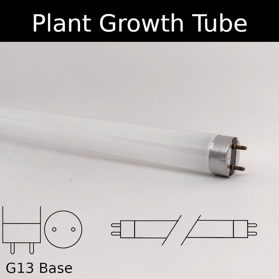Fluorescent Bulbs – The Lightbulb Man